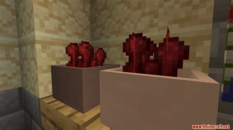 Image result for Botany Pots Mod