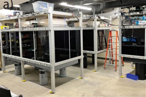 Image result for Changed Lab