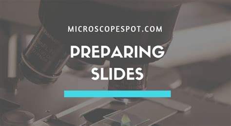 Image result for Preparing Simple Microscope Slides