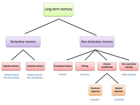 Image result for Explicit Memory Definition