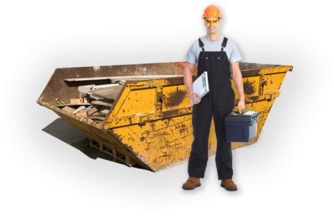 Image result for Mini Skip