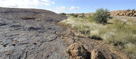 Image result for Shell Mahalapye