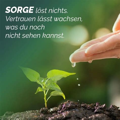 Image result for Bladder Channel TCM