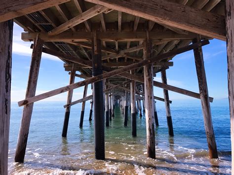 Image result for Balboa Python