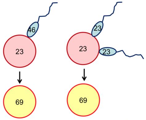 Image result for Chromosomal Microarray Procedure