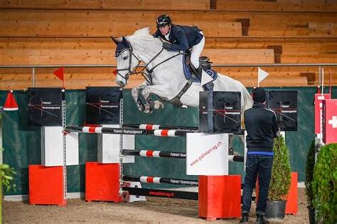 Image result for Module B Guide O Felia