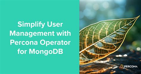 Image result for Percona Script