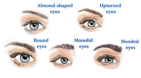 Image result for Eye Shape Pattern