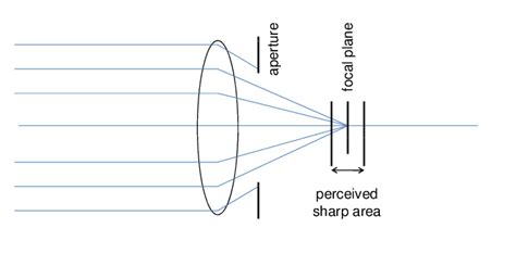 Image result for Sharp Depth of Field