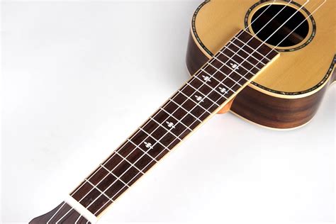 Image result for Ukulele 4 Strings