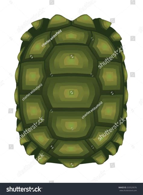 56,158 Green Turtle Shell Images, Stock Photos & Vectors | Shutterstock