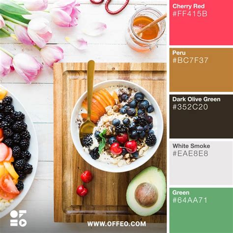 Image result for Food Color Guide