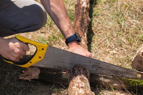 Image result for Tree Saws Hand