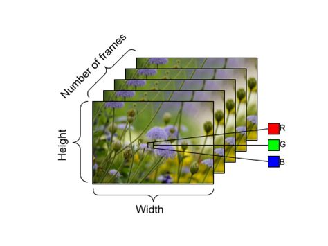 Image result for Tensor Flow Image Processing