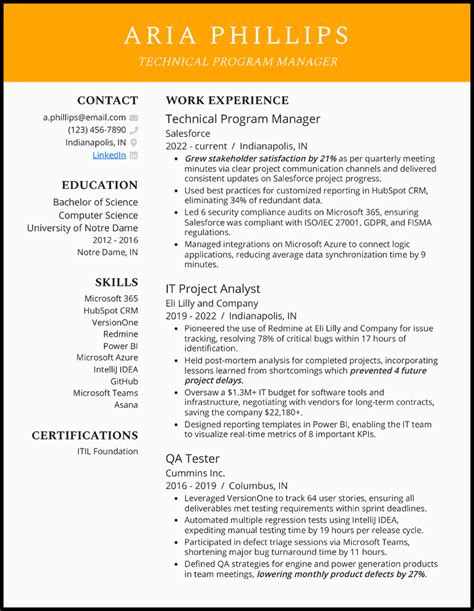 Image result for Technical Program Manager Vision Examples