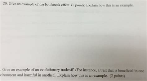 Image result for Bottleneck Effect Example