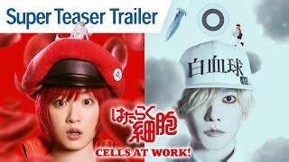 Image result for Cells at Work Net TV