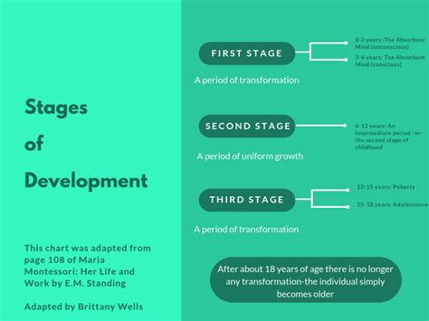 Image result for Stages of Development
