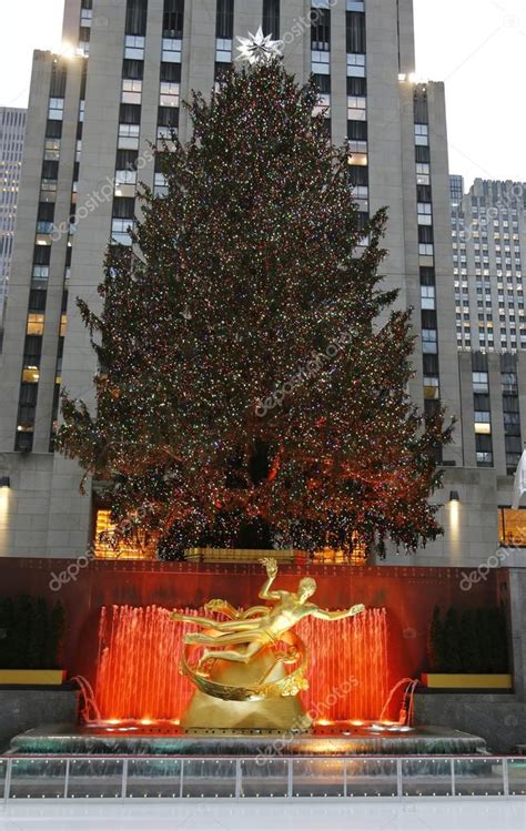 Image result for Prometheus Tree