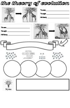 Image result for Evolution Guided Notes