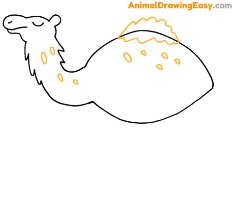 Image result for Camel Drawing Tutorial