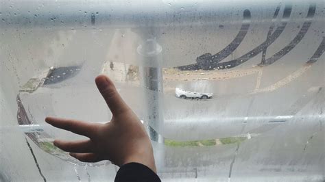 Image result for Normal House Humidity