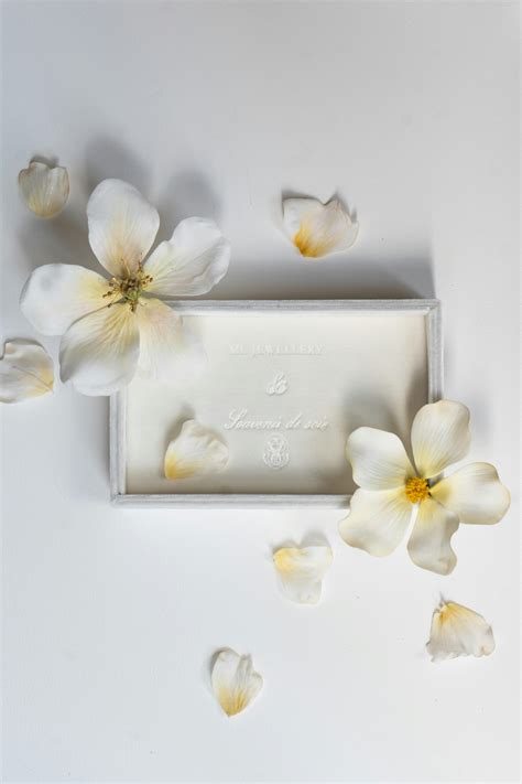 Image result for Slap Box Fight