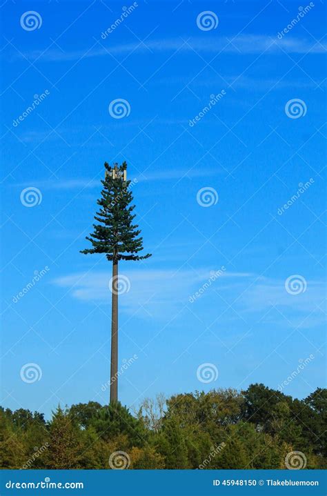 Image result for Fake Tree Cell Tower