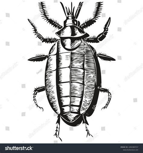 Image result for Cockroach Line Art