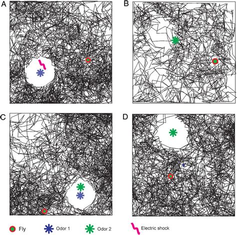 Image result for fly vision simulation