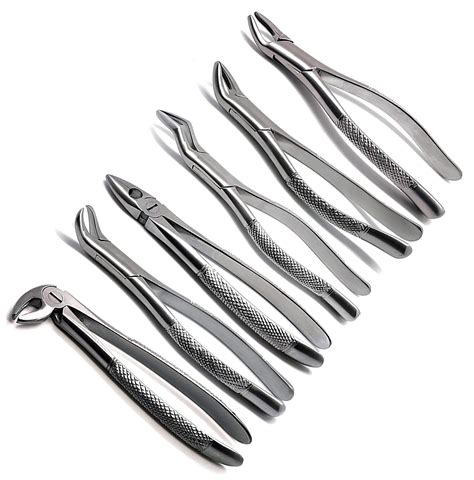Image result for Extraction Forceps