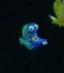 Image result for Finding Nemo Chicken Fish