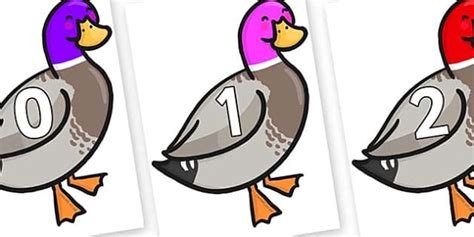 Image result for Adding Negative Numbers Duck Video