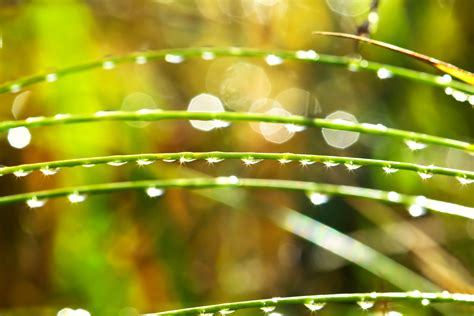 Image result for Color Key Natural Light