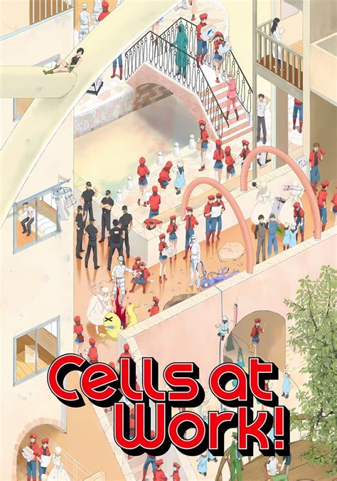 Image result for Cells at Work Net TV