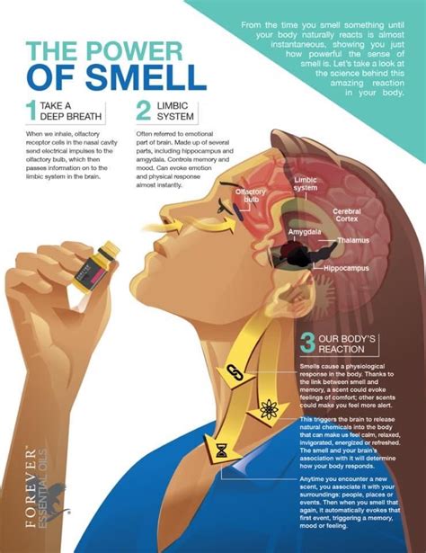 Image result for Inhalation Exercises