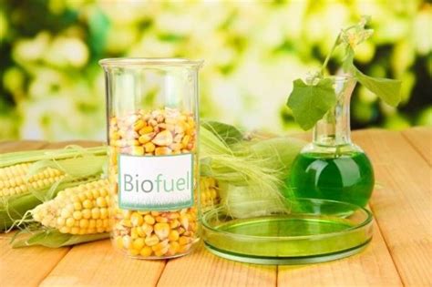 Image result for Biofuel Types
