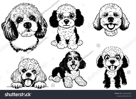 Image result for Cavapoo Art