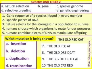 Image result for Genetics Questions Science 10 Answers