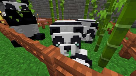 Image result for Minecraft Panda