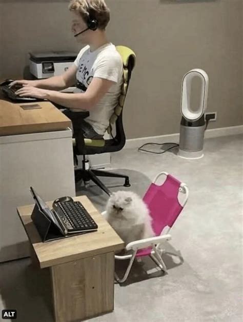 Image result for Meme Computer Setup