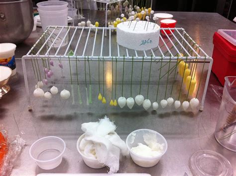 Image result for Sugar Paste Flower Tutorial