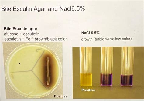 Image result for Salt Test