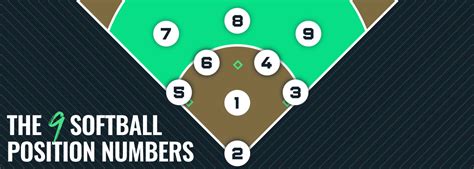 Image result for Softball Positions Explained