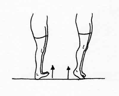Image result for Toe Up Exercise