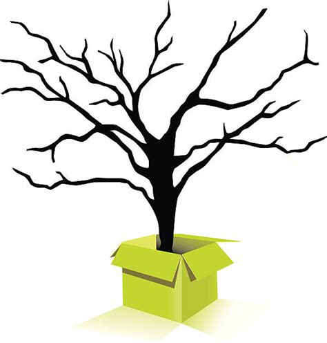 Image result for Cardboard Box Tree