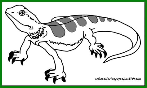 Image result for Simple Line Drawings Lizard