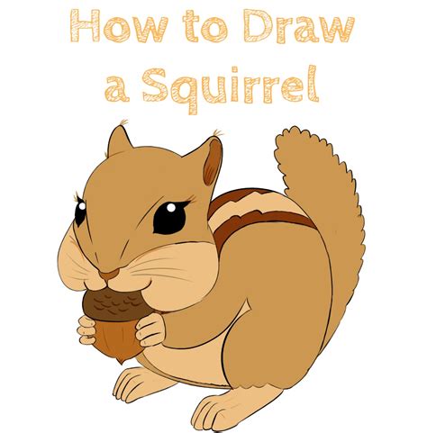 Image result for Draw a Squirrel Tutorial