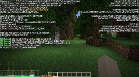 Image result for How to Fix Lag On Minecraft Java