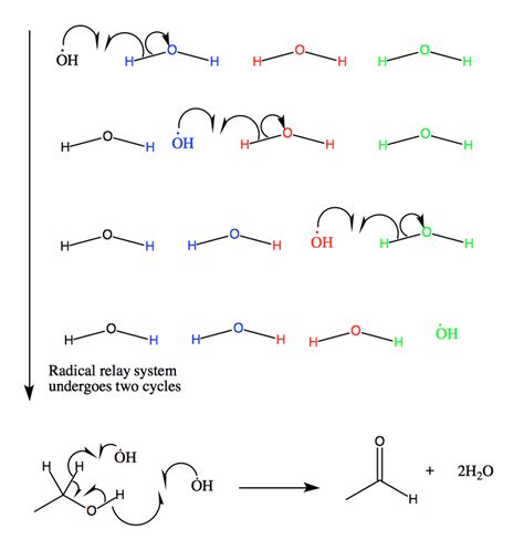 Image result for Catalase H2O2 Reaction